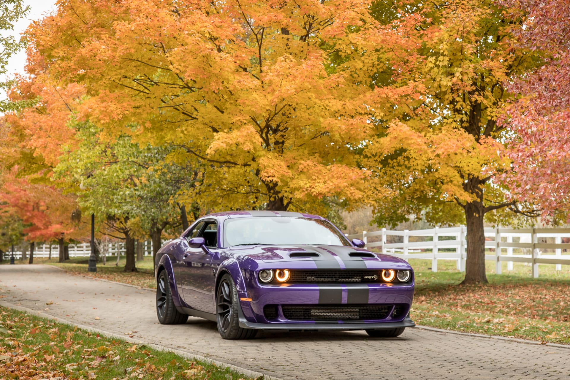 Fall Fashions Aren't Just for the Runway: Fall Colors 'n' Cars Photos ...